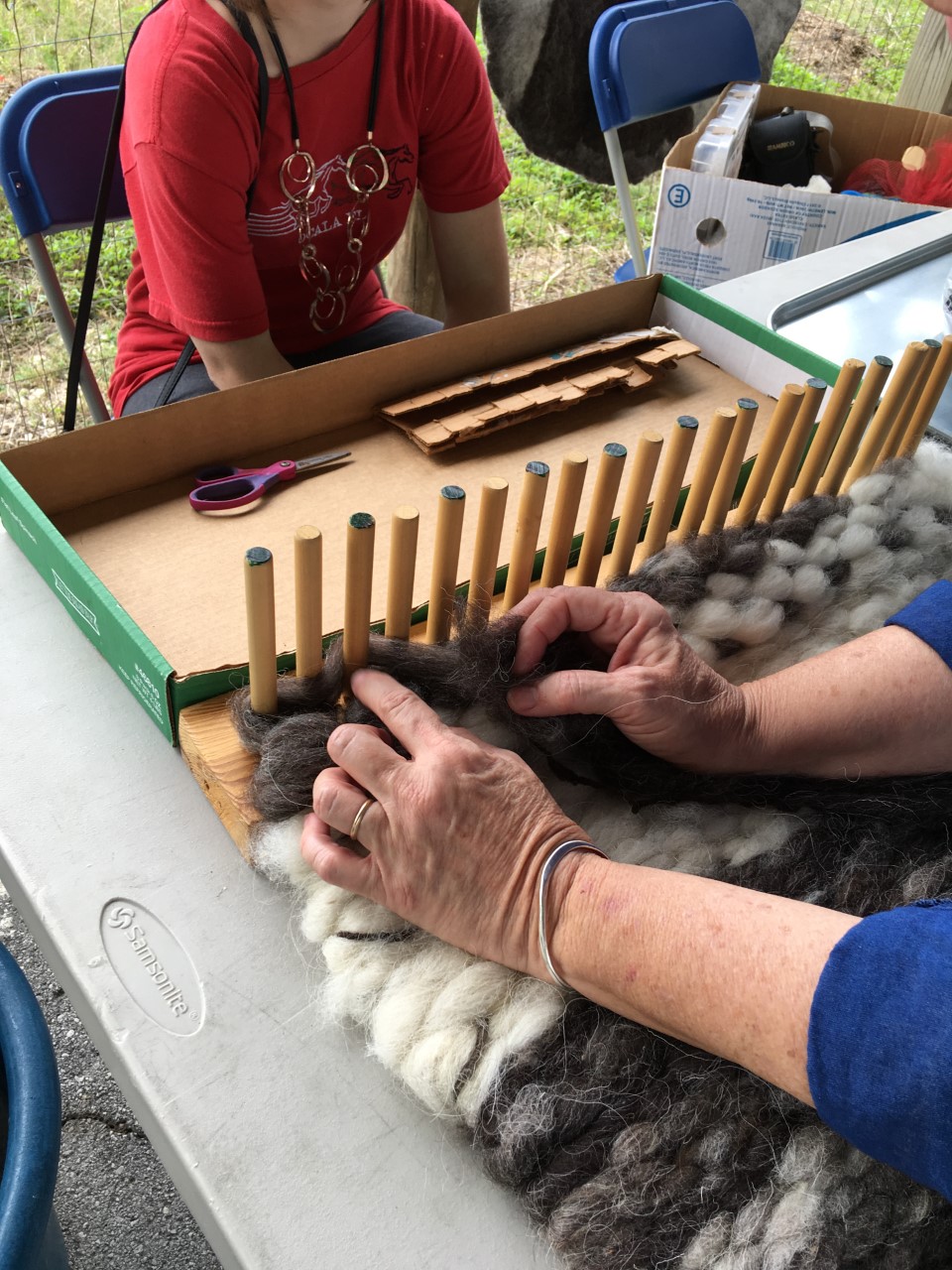 Carol Postley and her Florida Cracker Sheep | Jennifer Odom