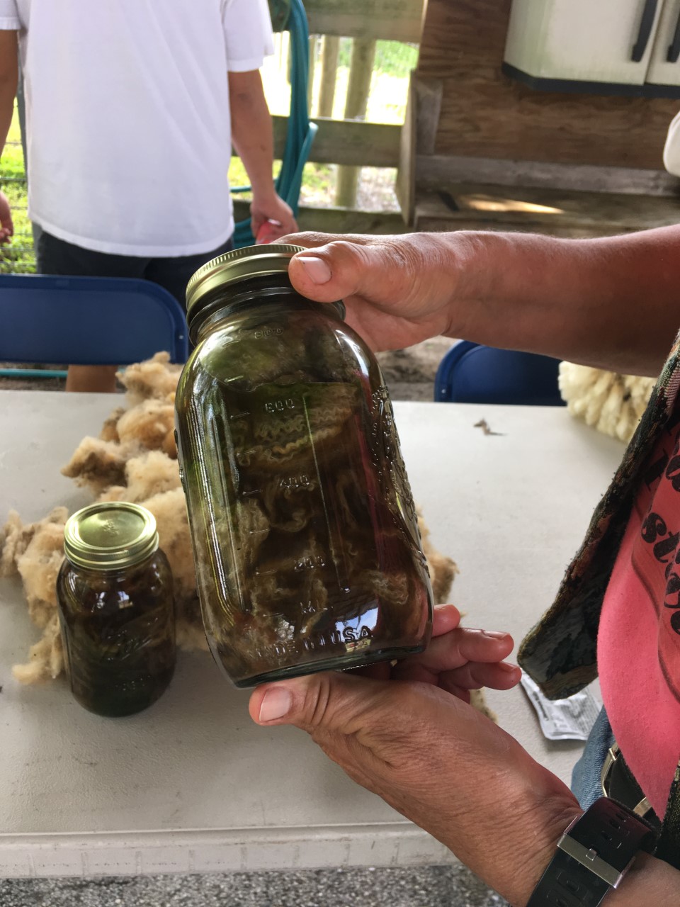 Carol Postley and her Florida Cracker Sheep | Jennifer Odom