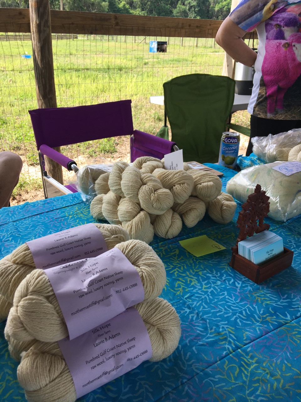 Carol Postley and her Florida Cracker Sheep | Jennifer Odom